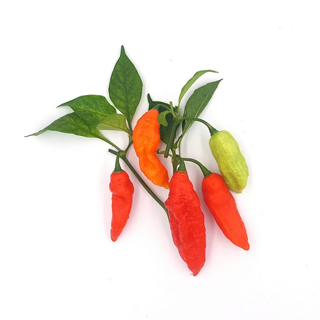 Bhut Jolokia Red - Vendita Peperoncini Online