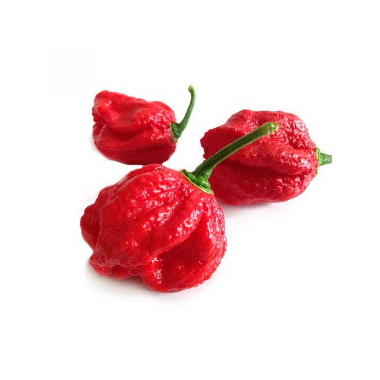 Infinity Chili - Vendita Peperoncini Online