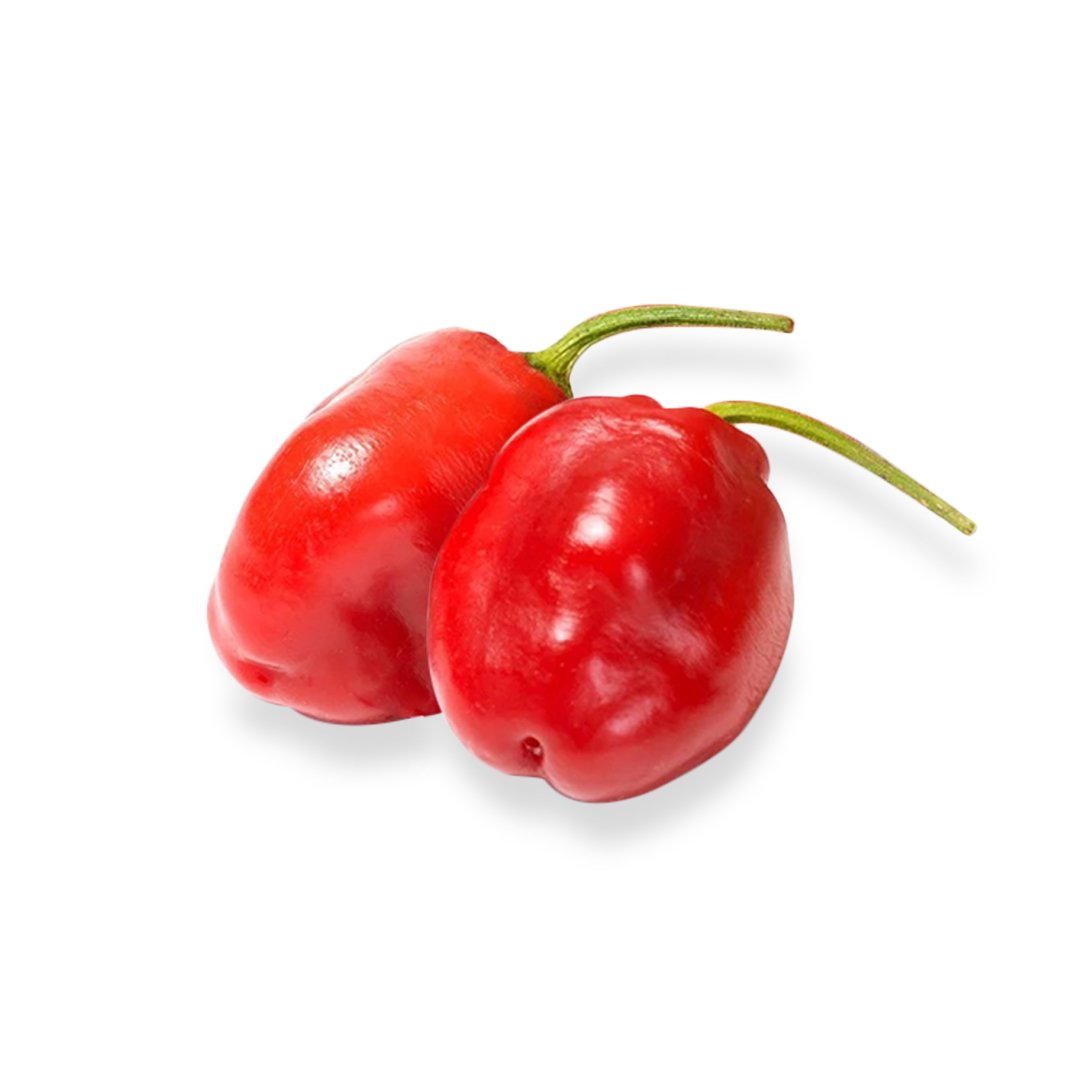 ROCOTO RED - Vendita Peperoncini Online