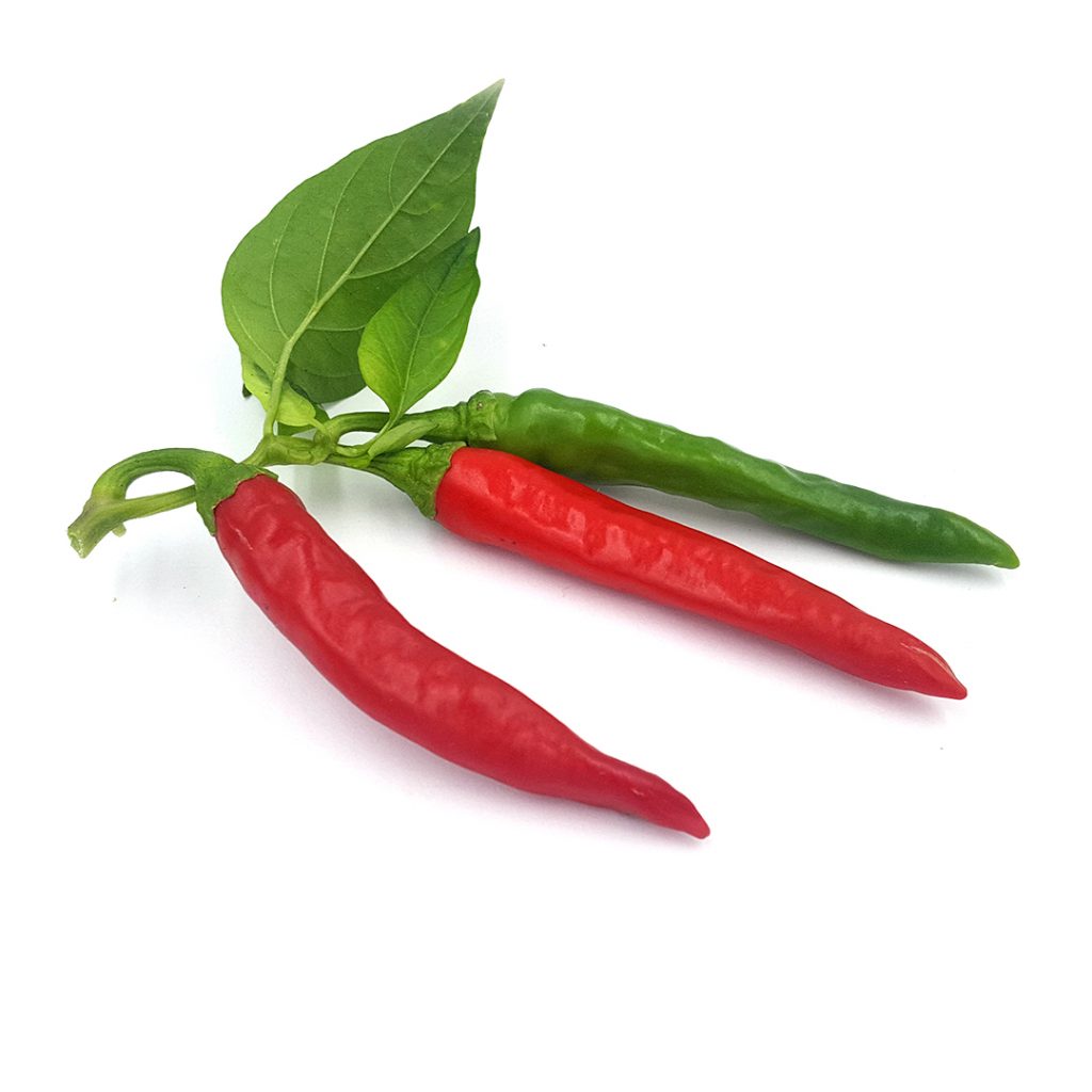 Indian Pepper - Vendita Peperoncini Online